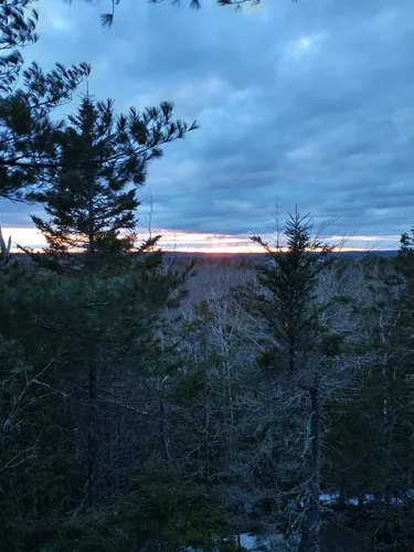 Best Hikes and Trails in Race Point | AllTrails