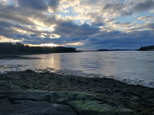 Best Hikes and Trails in Race Point | AllTrails