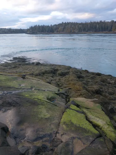 Best Hikes and Trails in Race Point | AllTrails