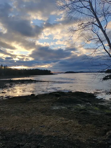 Best Hikes and Trails in Race Point | AllTrails