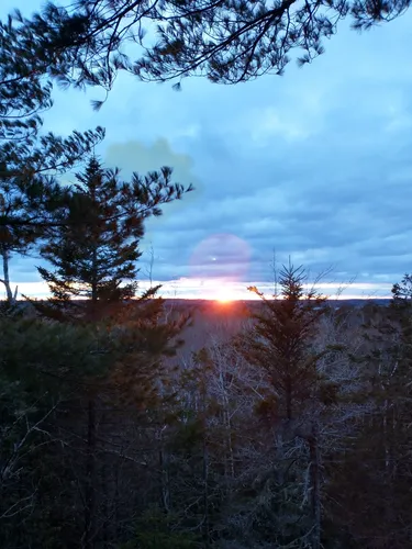 Best Hikes and Trails in Race Point | AllTrails