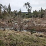 Dave Moore Nature Trail, California - 391 Reviews, Map | AllTrails