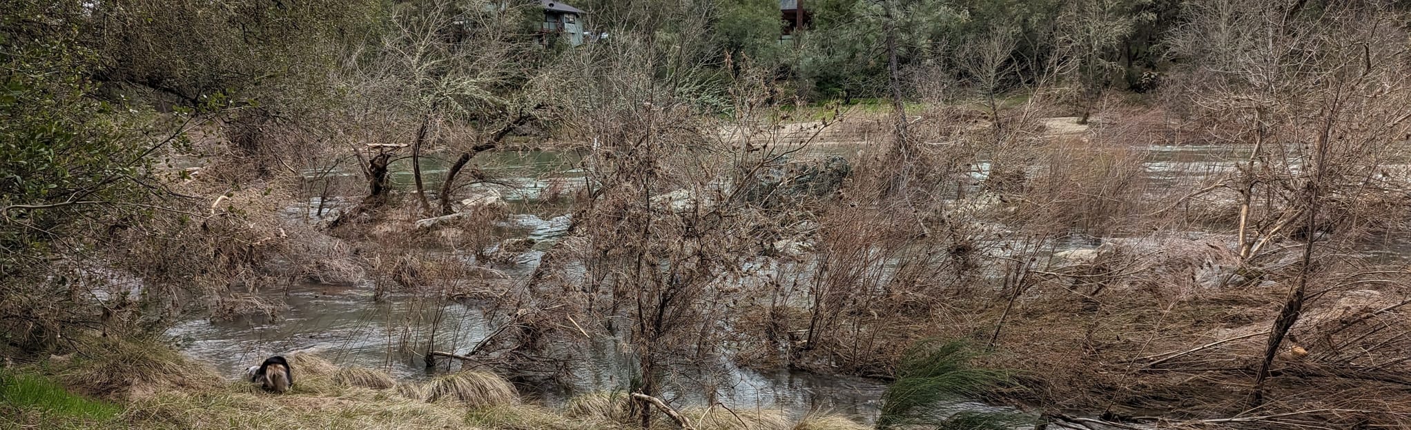 Dave Moore Nature Trail: 321 Reviews, Map - California | AllTrails