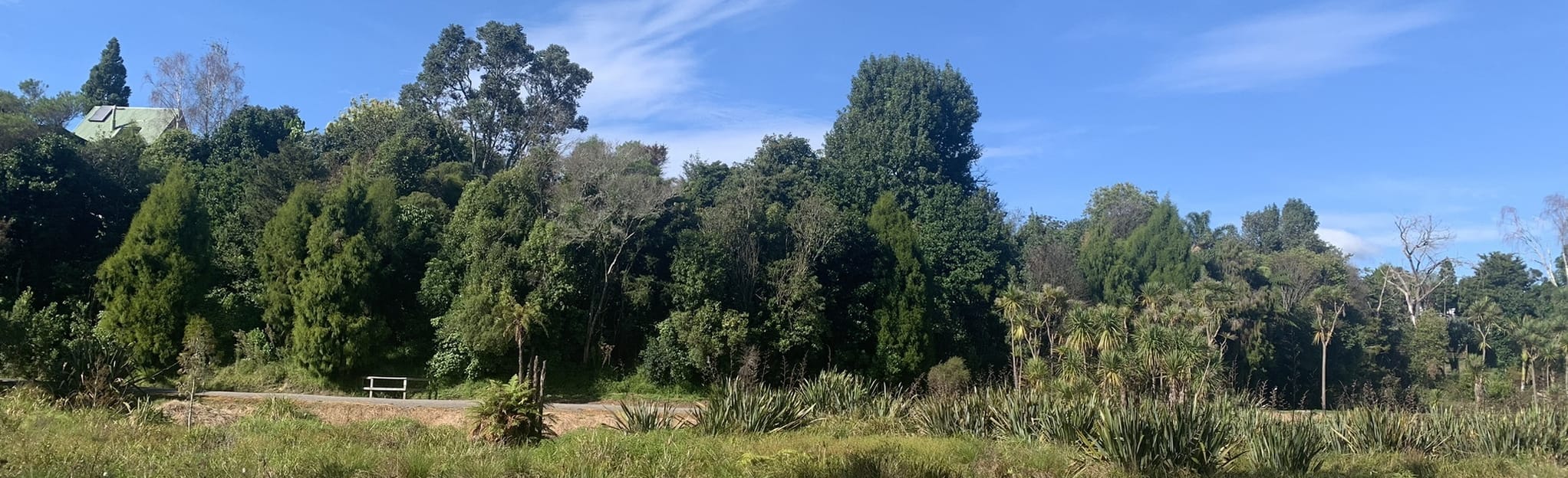 Johnson Reserve Loop: 80 Reviews, Map - Bay of Plenty, New Zealand ...