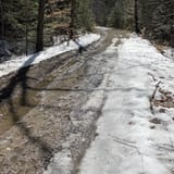 Ware River Rail Trail, Massachusetts - 76 Reviews, Map | AllTrails