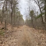 Ware River Rail Trail, Massachusetts - 76 Reviews, Map | AllTrails