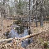 Ware River Rail Trail, Massachusetts - 76 Reviews, Map | AllTrails