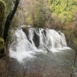 Beaver Falls, Washington - 221 Reviews, Map | AllTrails