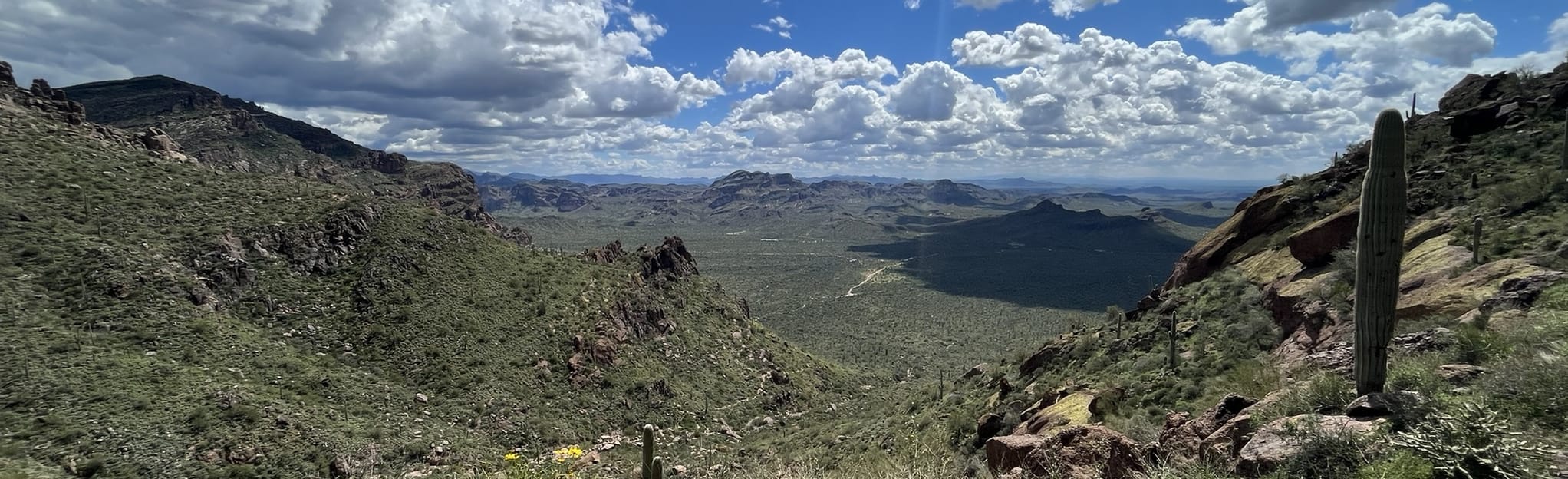 Wave Cave Trail: 6953 Reviews, Map - Arizona | AllTrails