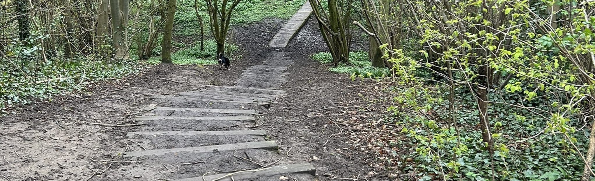 Gatley Carrs Nature Loop: 17 Reviews, Map - Greater Manchester, England ...