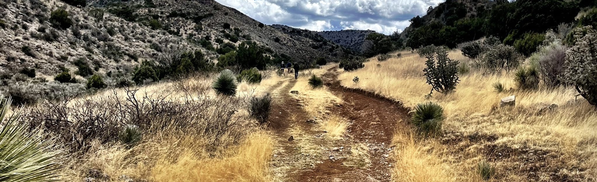 Dry Canyon Trail: 28 Reviews, Map - New Mexico | AllTrails