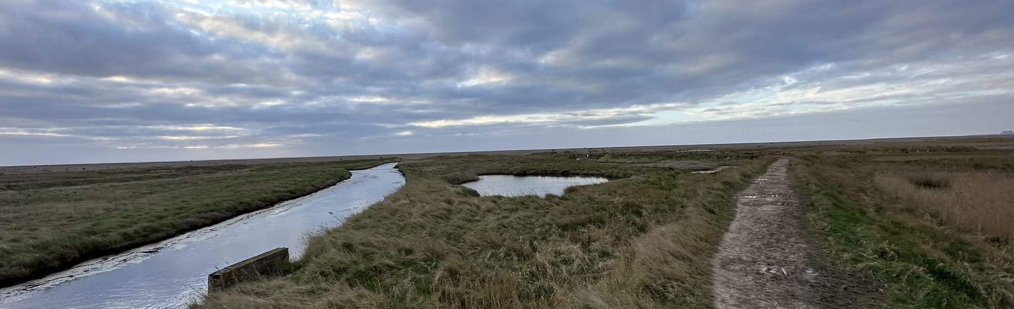 Walberswick and Dunwich Forest Circular: 16 Reviews, Map - Suffolk ...