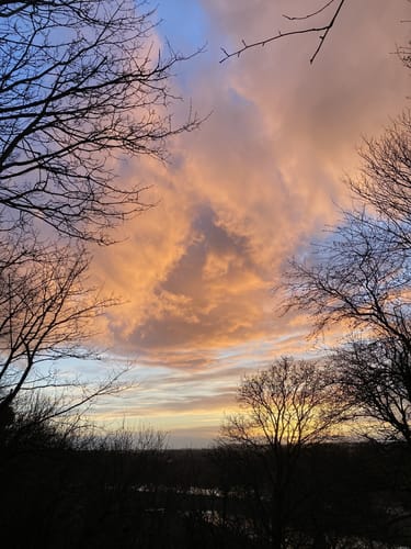 Best Hikes and Trails in Holme Pierrepont Country Park | AllTrails