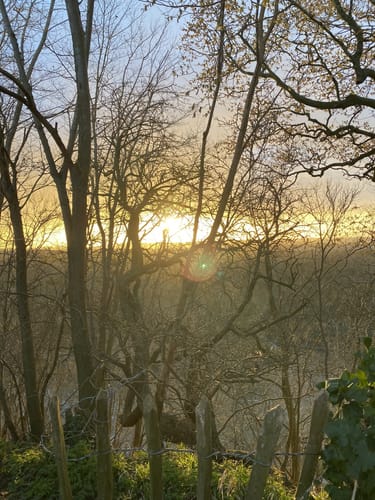 Best Hikes and Trails in Holme Pierrepont Country Park | AllTrails