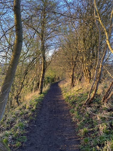 Best Hikes and Trails in Holme Pierrepont Country Park | AllTrails