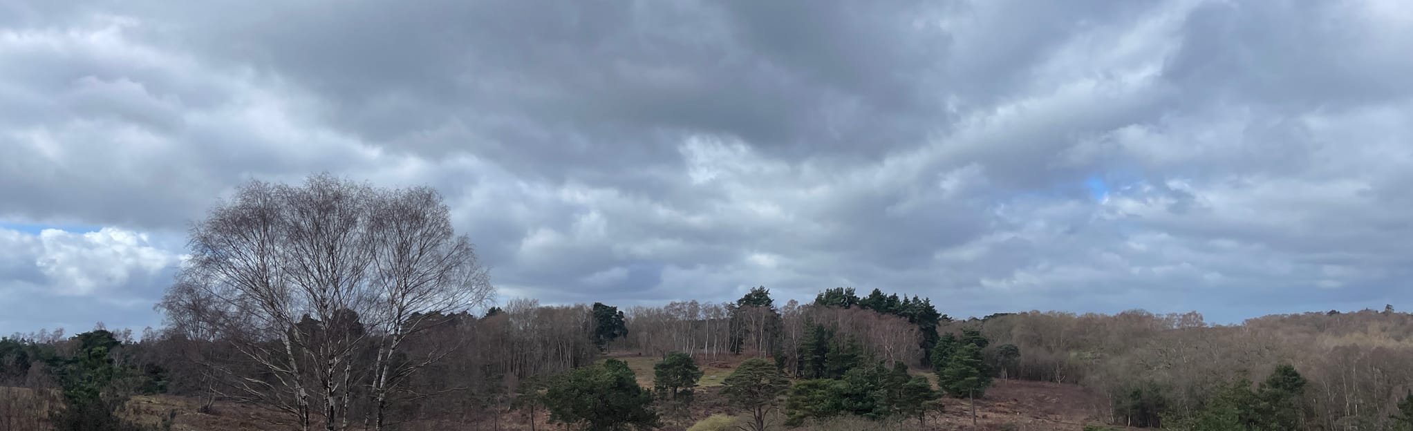 Castle Bottom: 253 Fotos - Hampshire, England | AllTrails