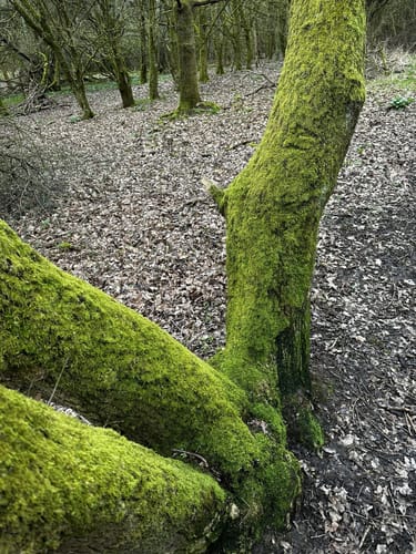 Best Hikes and Trails in Shotover Country Park | AllTrails