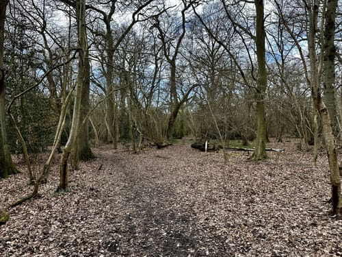 Best Hikes and Trails in Shotover Country Park | AllTrails