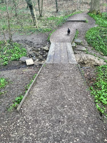 Best Hikes and Trails in Brierley Forest Park | AllTrails