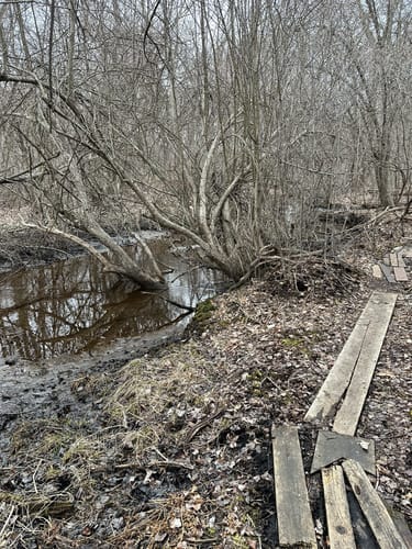 Best Hikes and Trails in Cold Spring Park | AllTrails