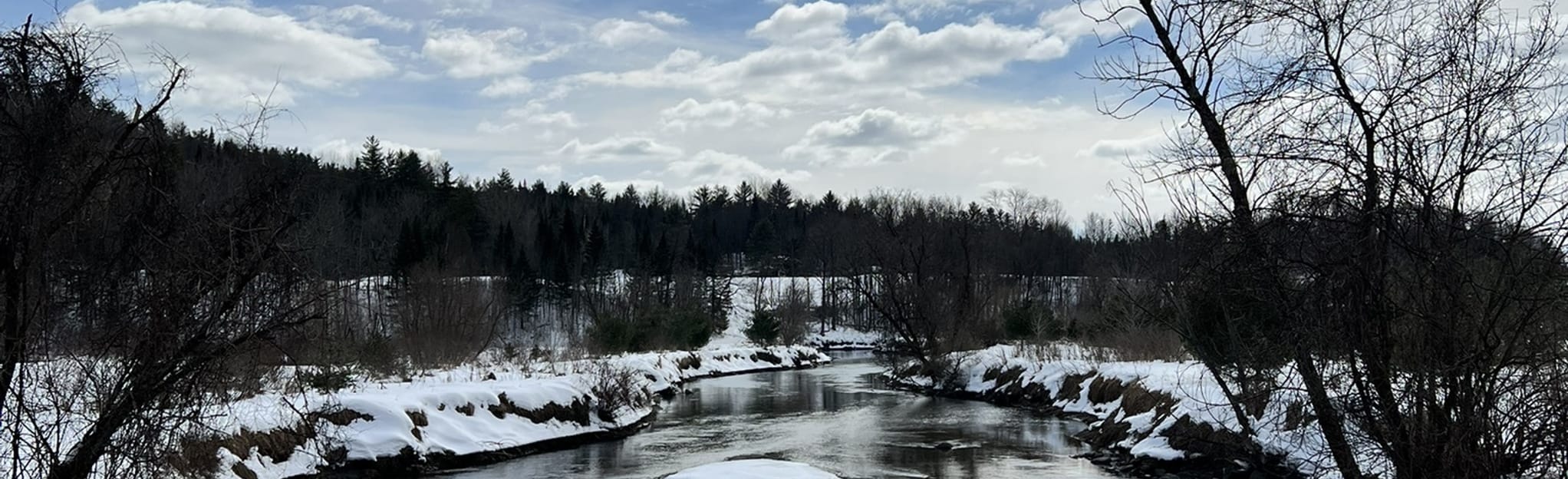 Martin Covered Bridge Trail [CLOSED], Vermont - 18 Reviews, Map | AllTrails