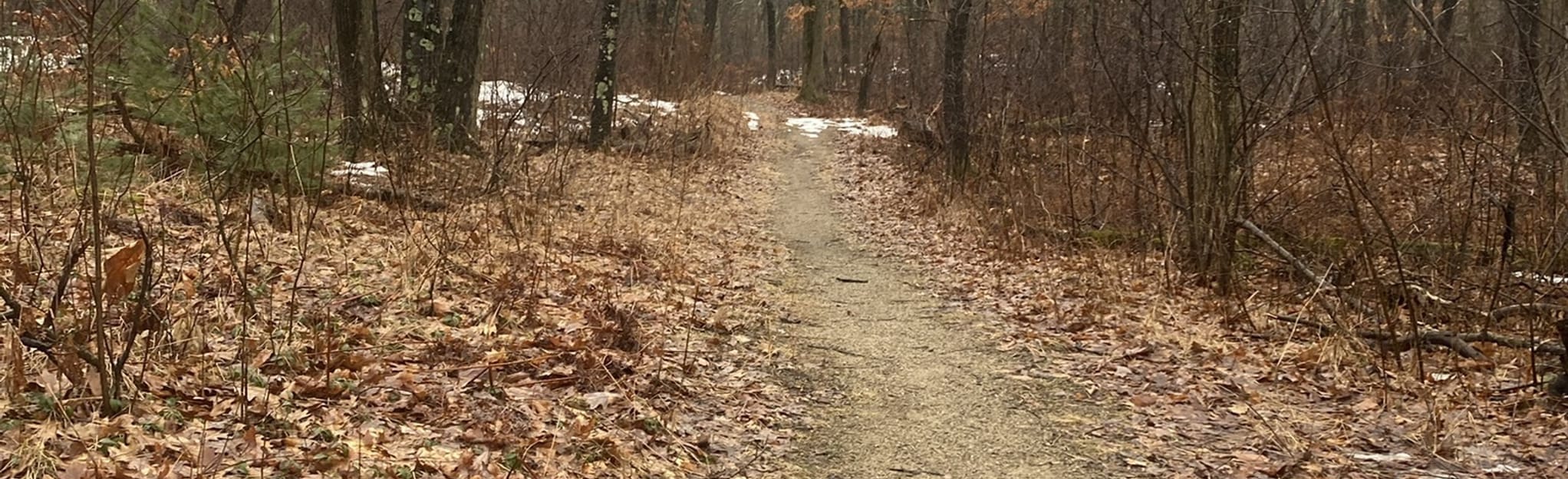 Sassafras Trail Loop: 28 foto's - Ontario, Canada | AllTrails