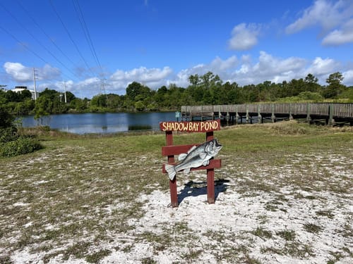 Beste wandelingen en routes in Shadow Bay Park | AllTrails