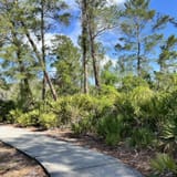 Shadow Bay Park Loop, Florida - 198 Reviews, Map | AllTrails