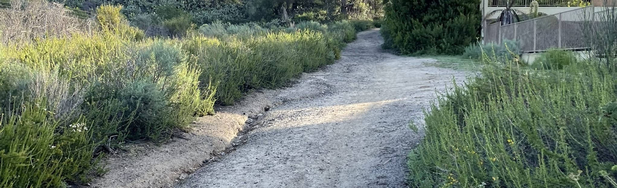 Fullerton Loop Trail, California - 4,836 Reviews, Map | AllTrails