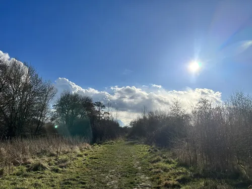 Best Hikes and Trails in Heart of England Forest - Haydon Way Wood ...