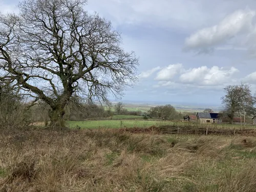 2023 Best 10 Easy Trails in Blackdown Hills Area of Outstanding Natural ...