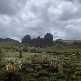 Mount Satima via Dragon's Teeth, Nyandarua, Kenya - 28 Reviews, Map ...