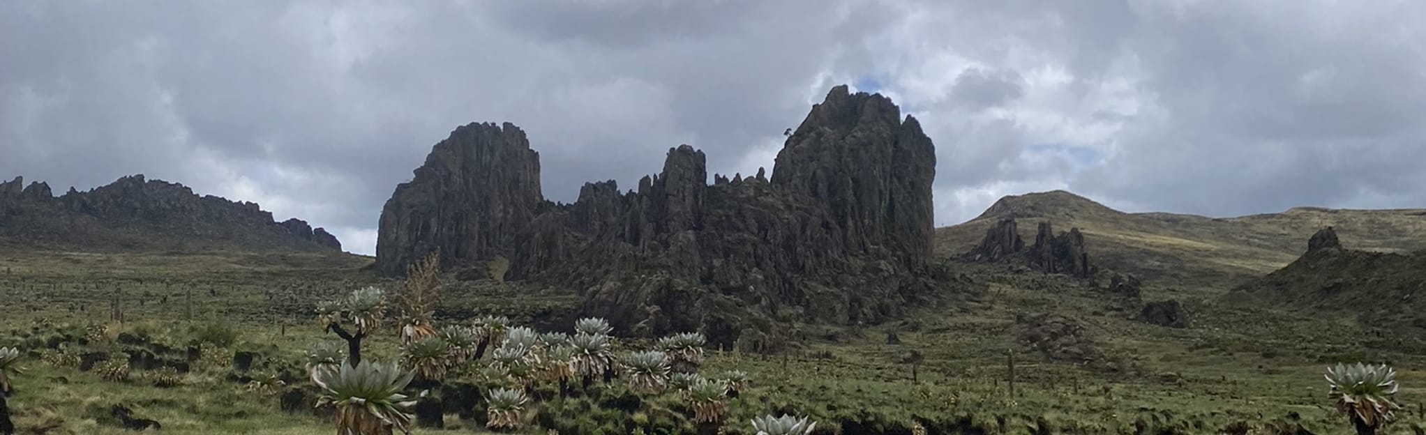 Mount Satima via Dragon's Teeth, Nyandarua, Kenya - 8 Reviews, Map ...