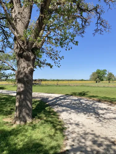 Best Hikes and Trails in Franklin Community Park | AllTrails
