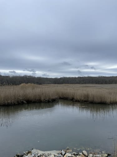 Best Hikes and Trails in Barn Island Wildlife Management Area | AllTrails