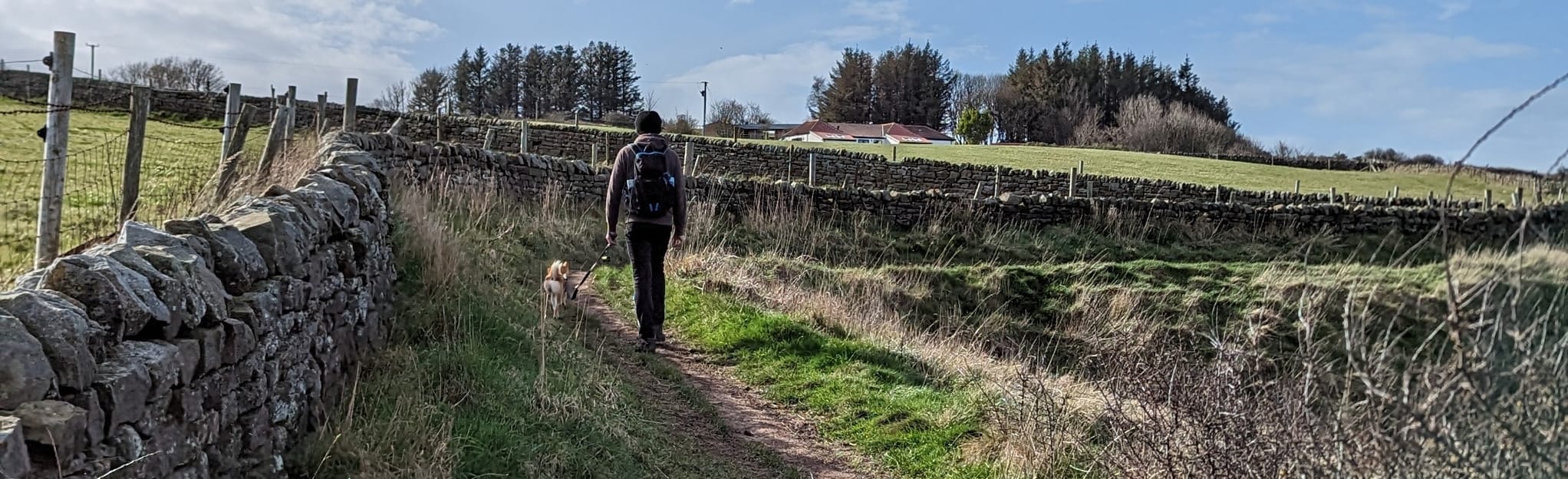 Cloughton to Robin Hood's Bay Route, North Yorkshire, England - 14 ...