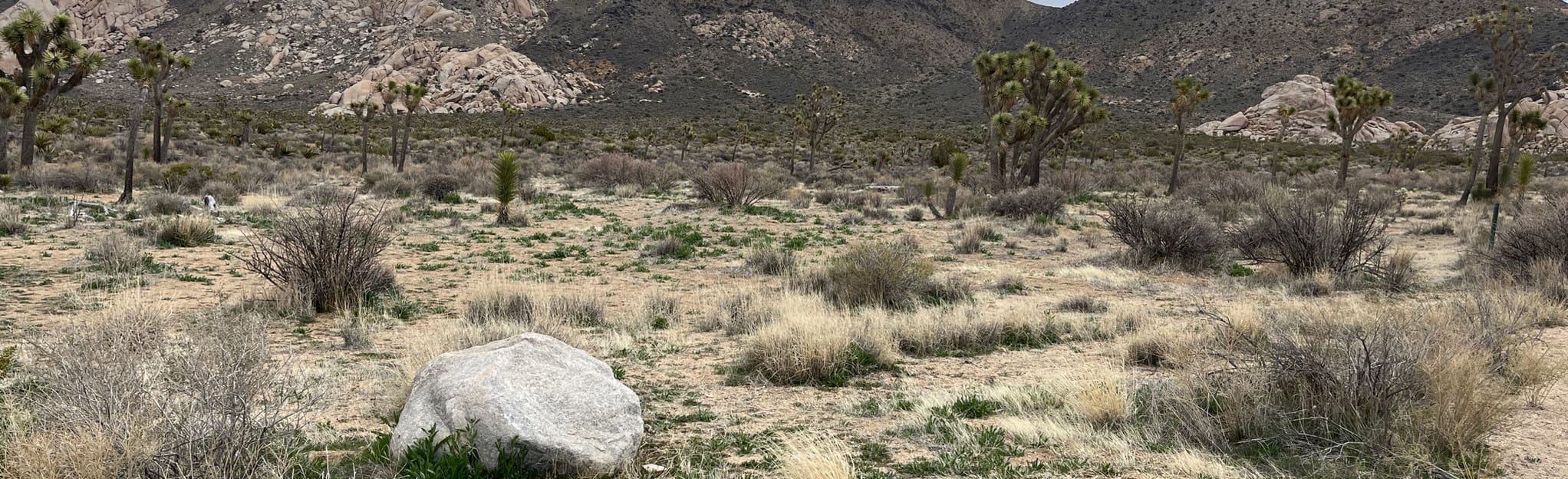 Ryan Ranch, California - 346 Reviews, Map | AllTrails