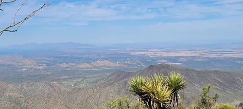 Best Hikes and Trails in Table Top Wilderness | AllTrails