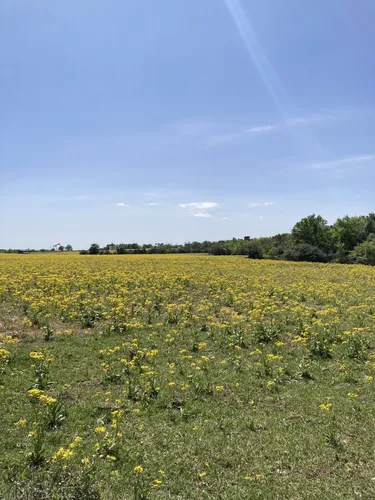 Best Hikes and Trails in Franklin Ranch Community Park | AllTrails