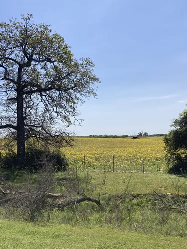 Best Hikes and Trails in Franklin Ranch Community Park | AllTrails