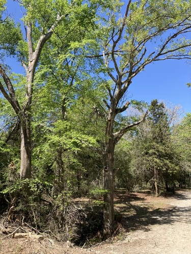 Best Hikes and Trails in Franklin Ranch Community Park | AllTrails