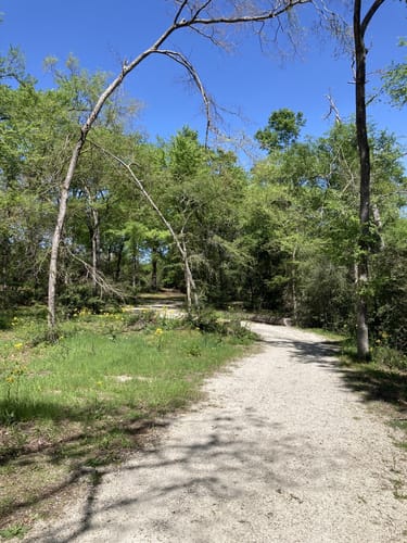 Best Hikes and Trails in Franklin Ranch Community Park | AllTrails