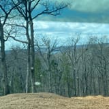 Turkey Bay OHV Trail, Kentucky - 69 Reviews, Map | AllTrails