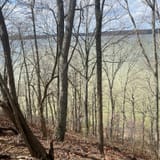 Turkey Bay OHV Trail, Kentucky - 69 Reviews, Map | AllTrails