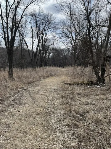 2023 Best Forest Trails in Quimby | AllTrails