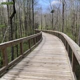The Walk at Sandy Run, Georgia - 77 Reviews, Map | AllTrails