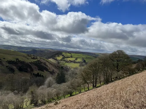 Best Trails, Walks, and Paths in Knighton | AllTrails