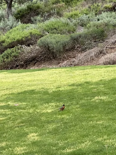 Best Hikes and Trails in Andulka Park | AllTrails