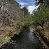 Cedar Ridge Trail Loop, North Carolina - 660 Reviews, Map | AllTrails