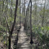 Neusiok Trail Northern Half, North Carolina - 165 Reviews, Map | AllTrails